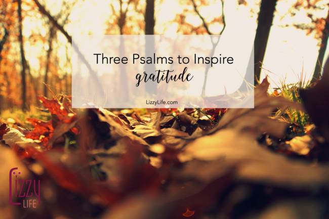 Three Psalms to Inspire Gratitude - ELIZABETH LAING THOMPSON